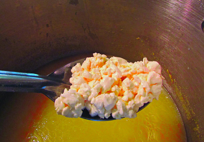 What Are Cheese Curds, and How to Make Them - Grit